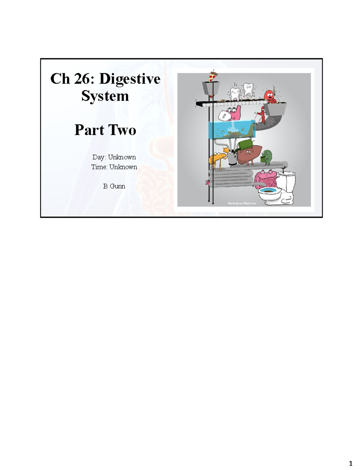 Chapter 26 -Digestive System Part Two - Ch 26: Digestive System Part ...