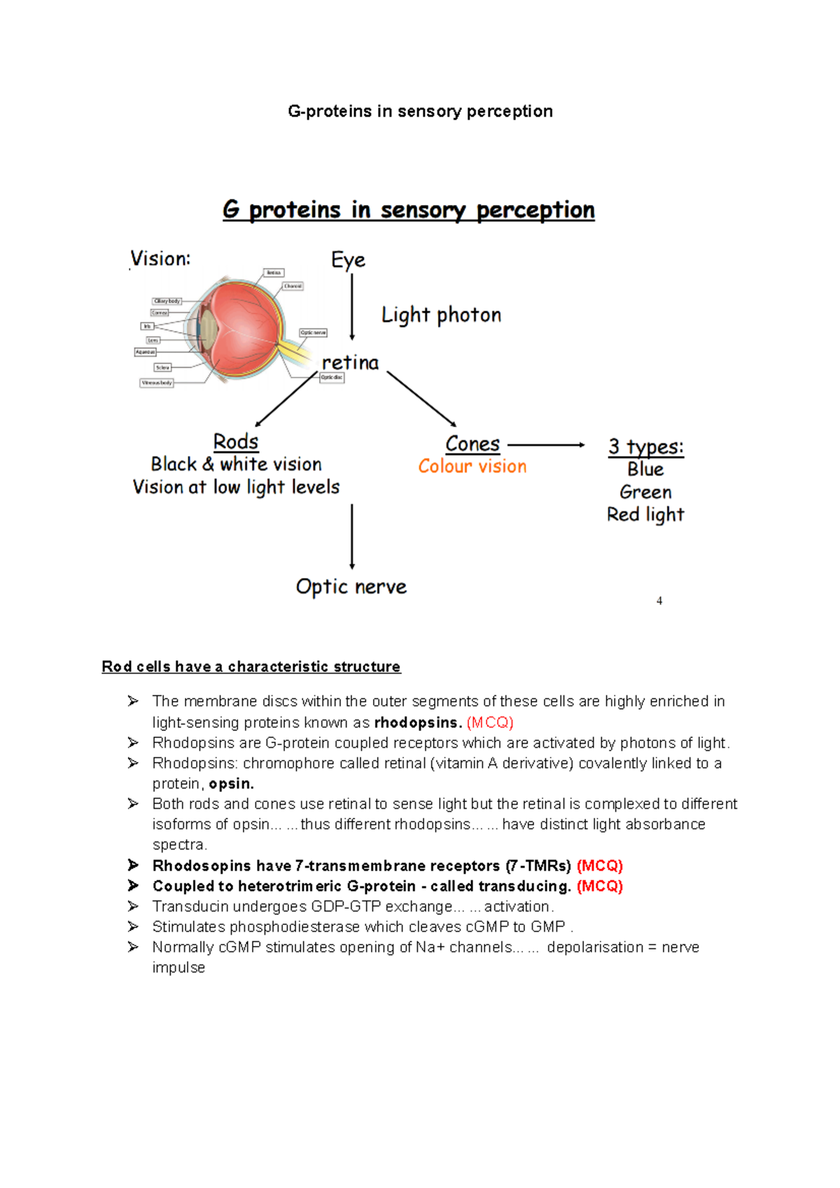 G proteins sensory perception - G-proteins in sensory perception Rod ...