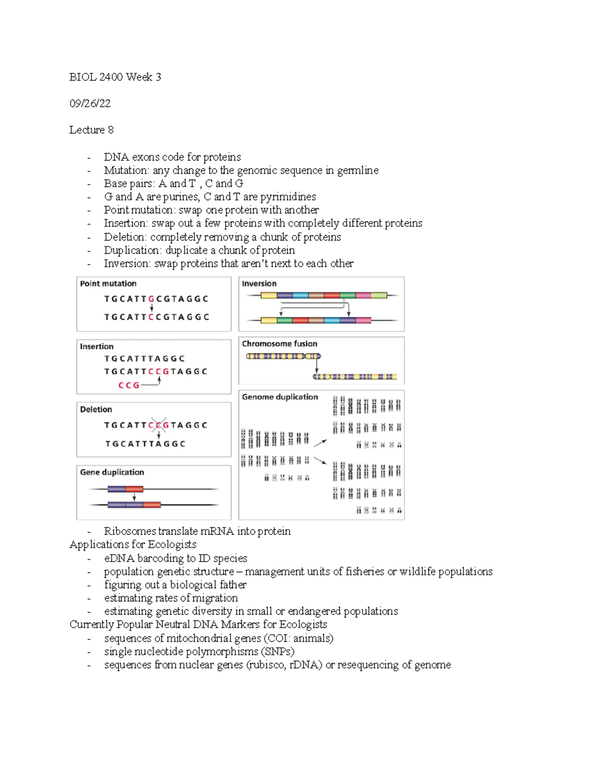 BIOL 2400 Week 3 - BIOL 2400 Week 3 09/26/ Lecture 8 - DNA exons code ...