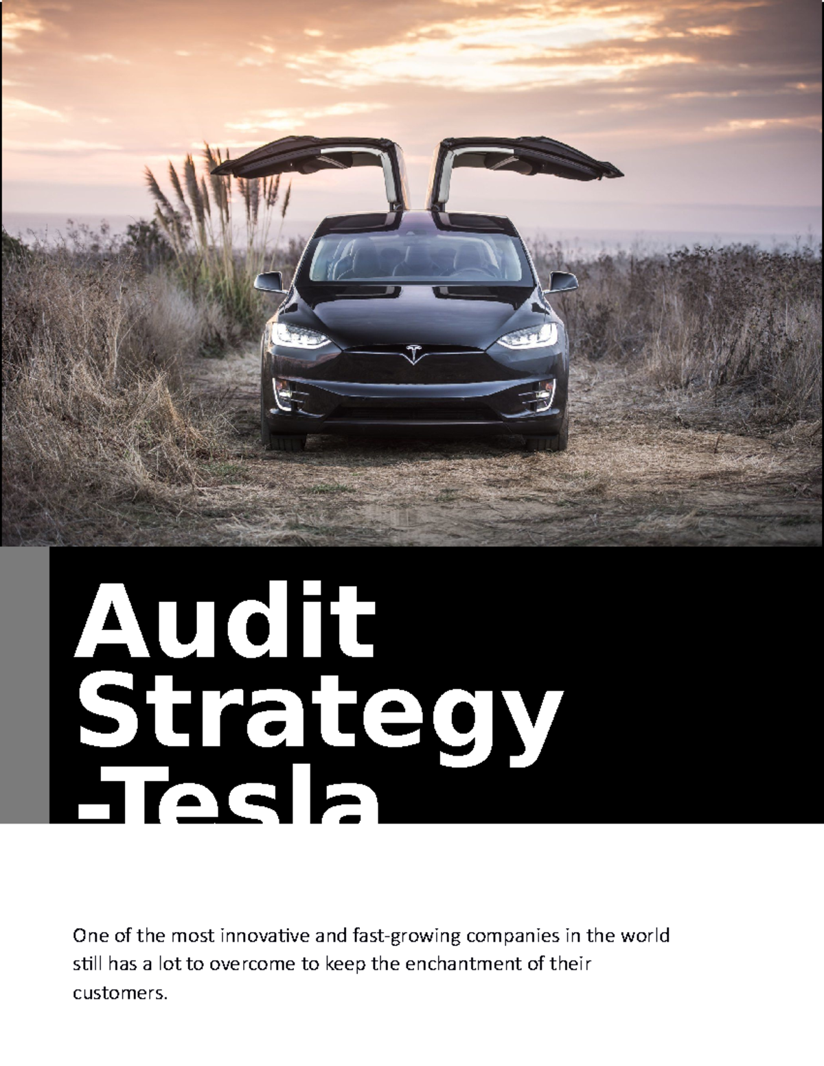 4C - Strategy Audit - Tesla - Audit Strategy -Tesla One of the most ...