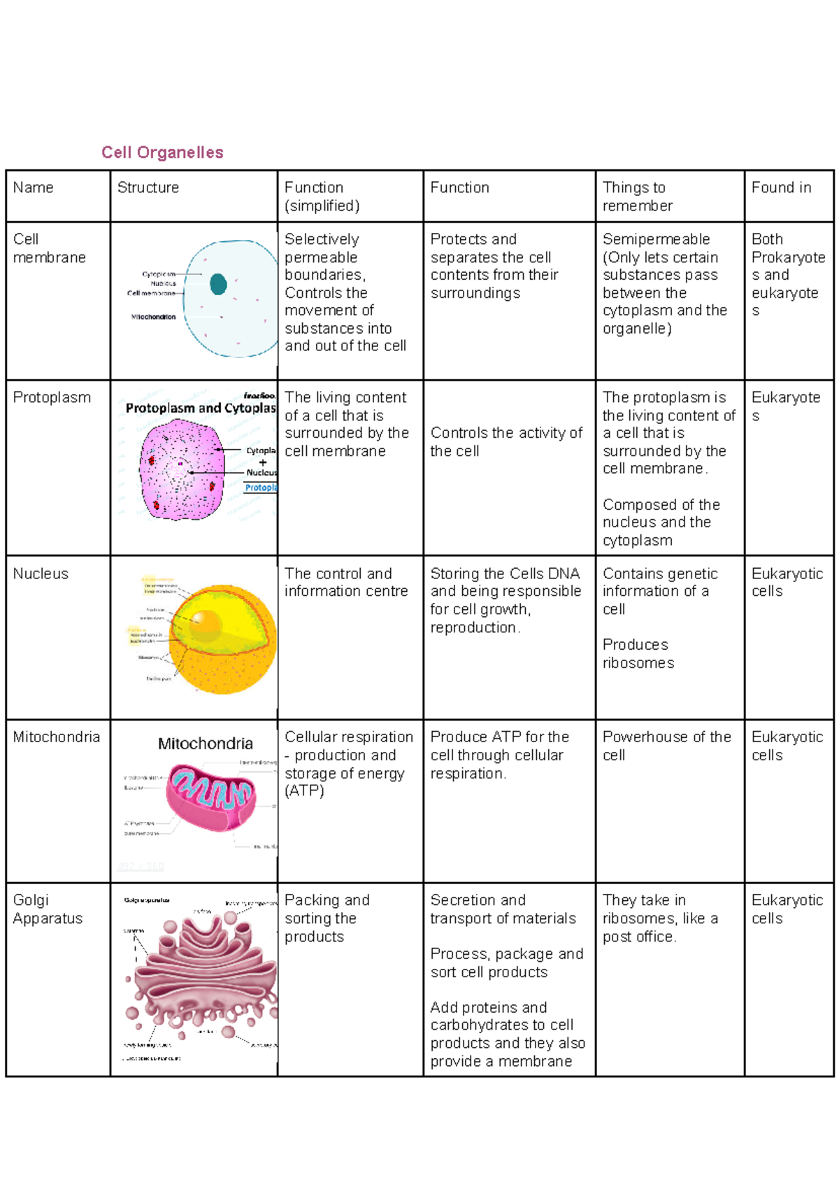 Biology Prelims notes - Cell Organelles Name Structure Function ...