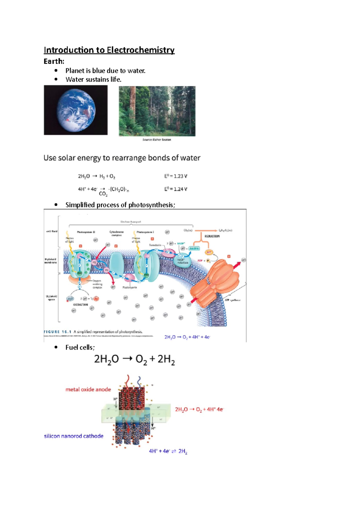 Introduction to Electrochemistry - Introduction to Electrochemistry ...