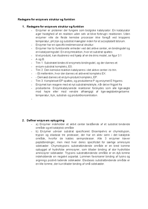 LM enzymers struktur og funktion - Enzymers struktur og funktion Læringsmål: Metabolisme - Studocu