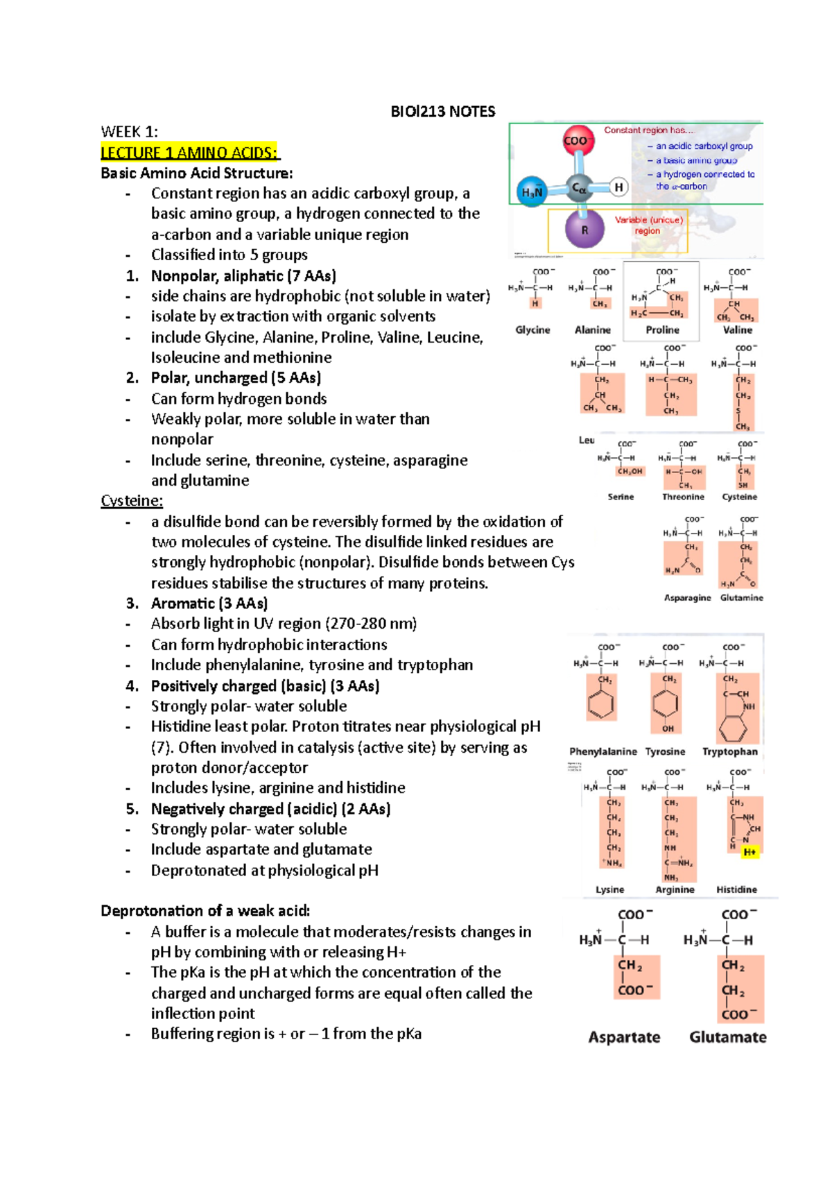 BIOl213 lecture Notes - BIOl213 NOTES WEEK 1: LECTURE 1 AMINO ACIDS ...
