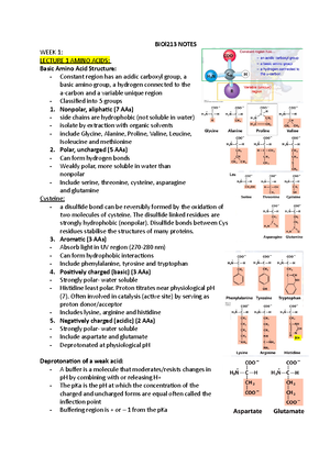 Biochemistry Final Examination Practice Test exam - Biochemistry ...