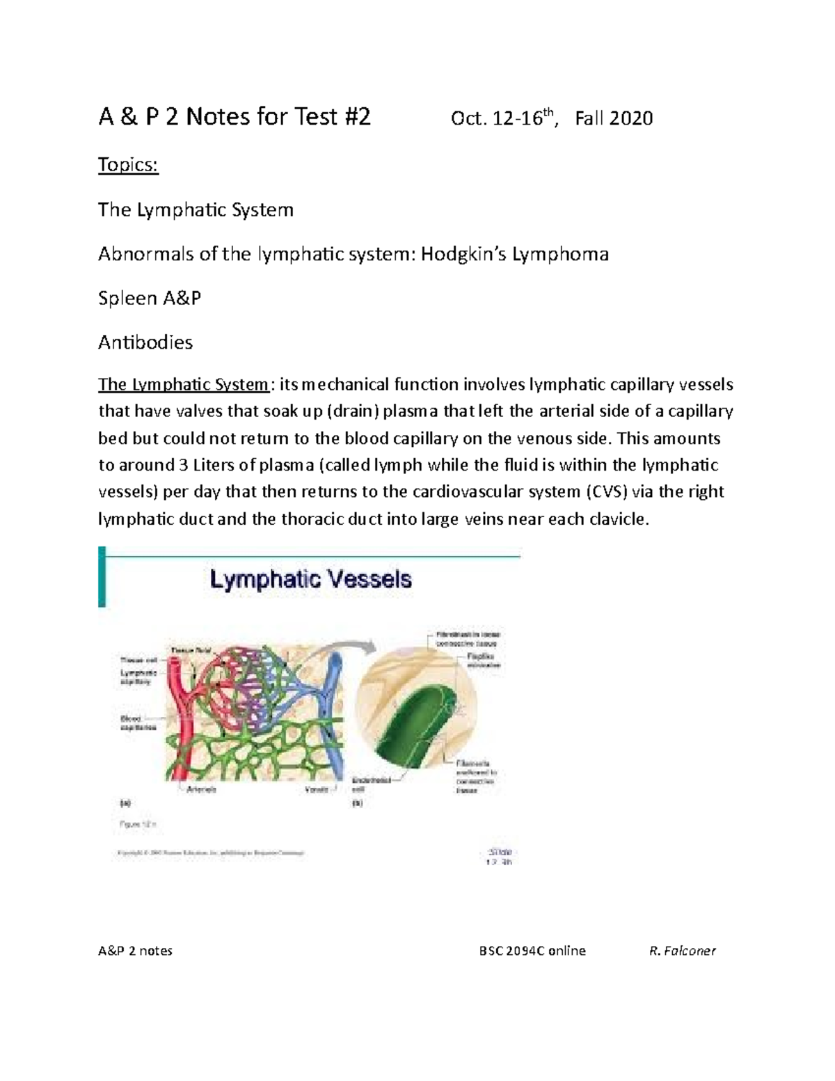 A&p - study notes on the topics of the lymphatic system, the abnormals ...