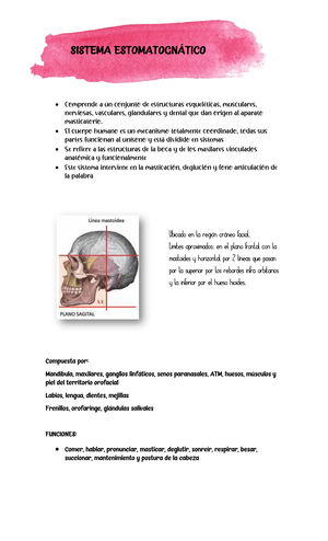 NT 210 PROA - norma tecnica PROA - El presente documento corresponde a ...