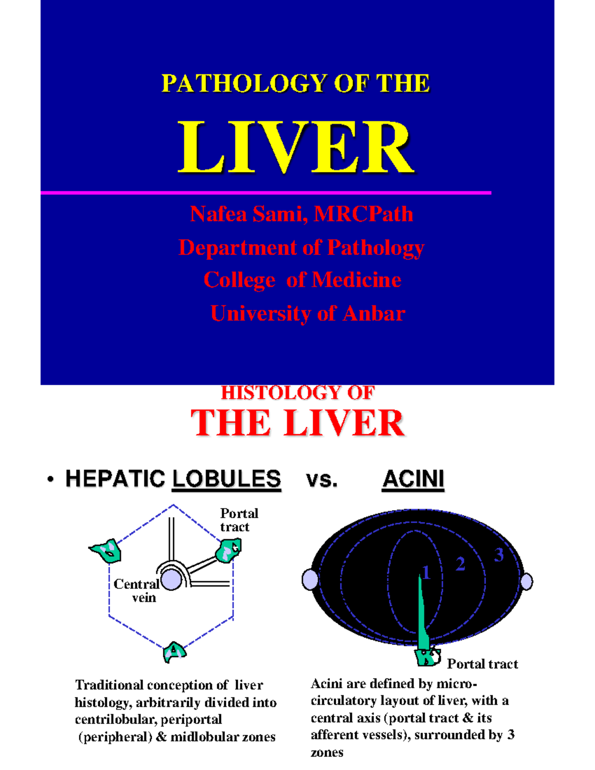 Pathology OF THE Liver - Médecine - PATHOLOGY OF THE LIVER Nafea Sami ...