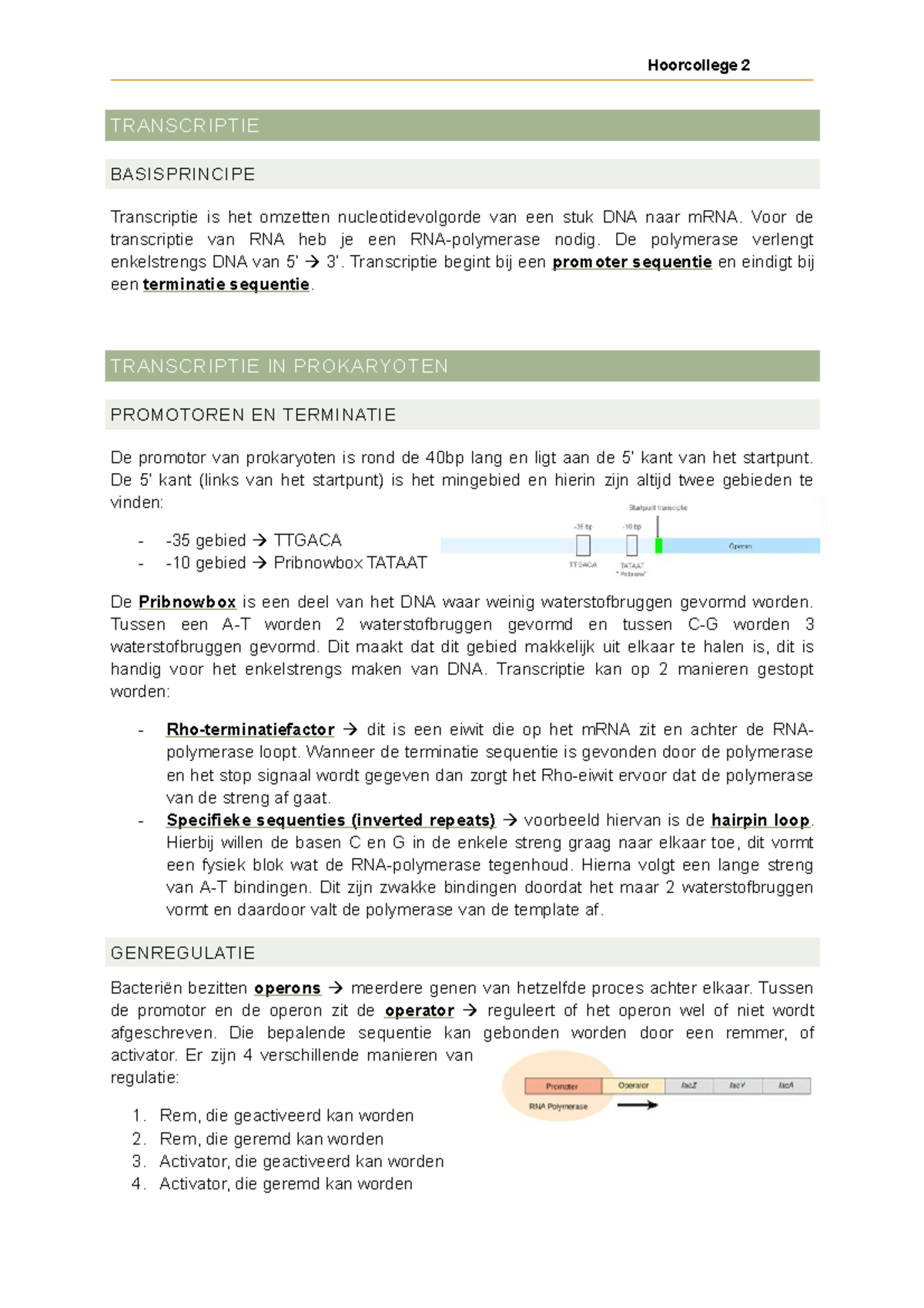 Hoorcollege 2 - Over transcriptie in eukaryoten en prokaryoten ...