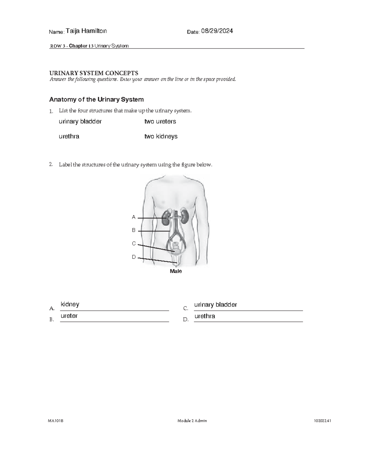 MA101B ROW 3 Chapter 13 DONE - ROW 3 - Chapter 13 Urinary System ...