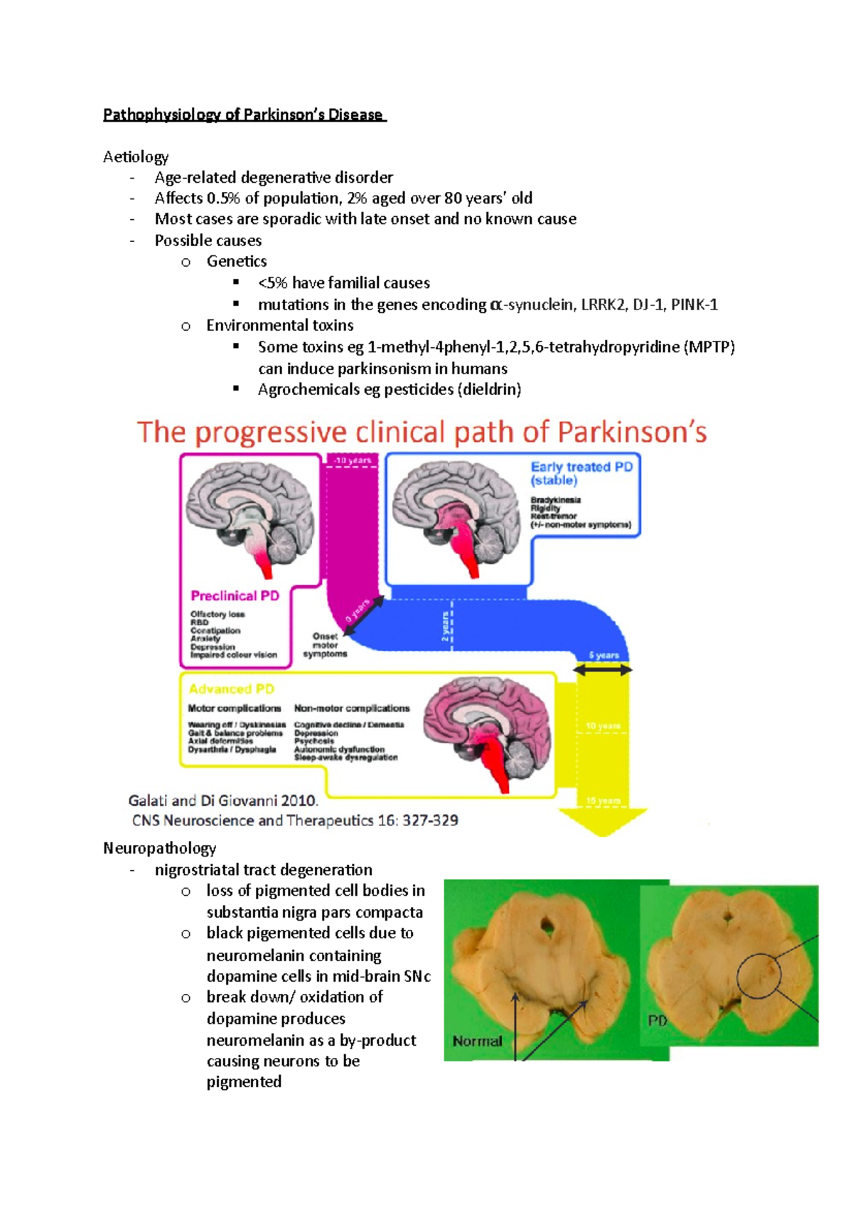 W4 Pathophysiology of Parkinson’s Disease - Pathophysiology of ...