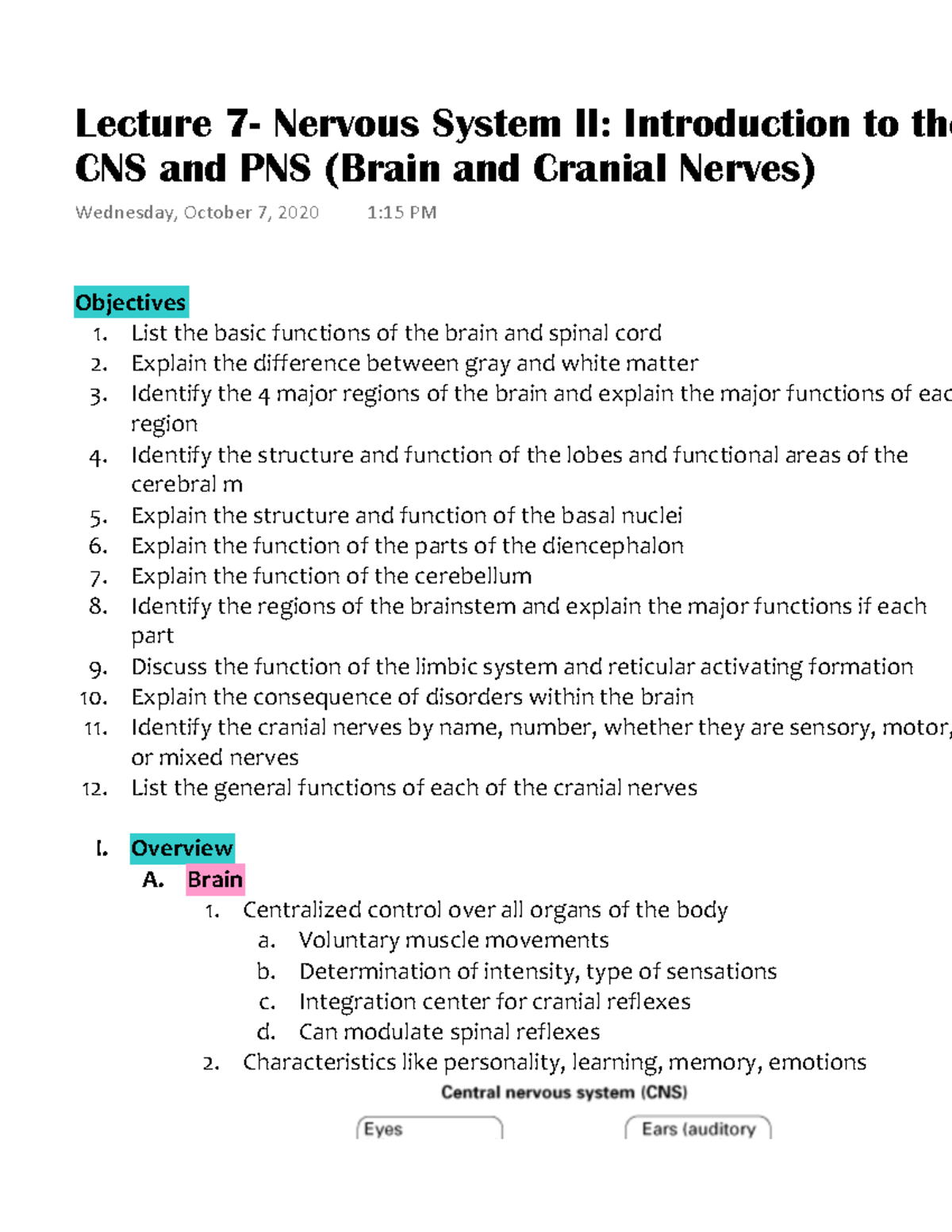 Nervous System II Introduction to the CNS and PNS (Brain and Cranial ...