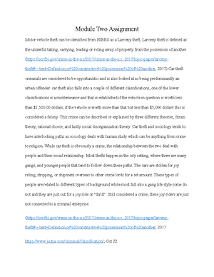 CJ 310 Project Two Template - Running head: SECURITY ANALYSIS REPORT 1 ...