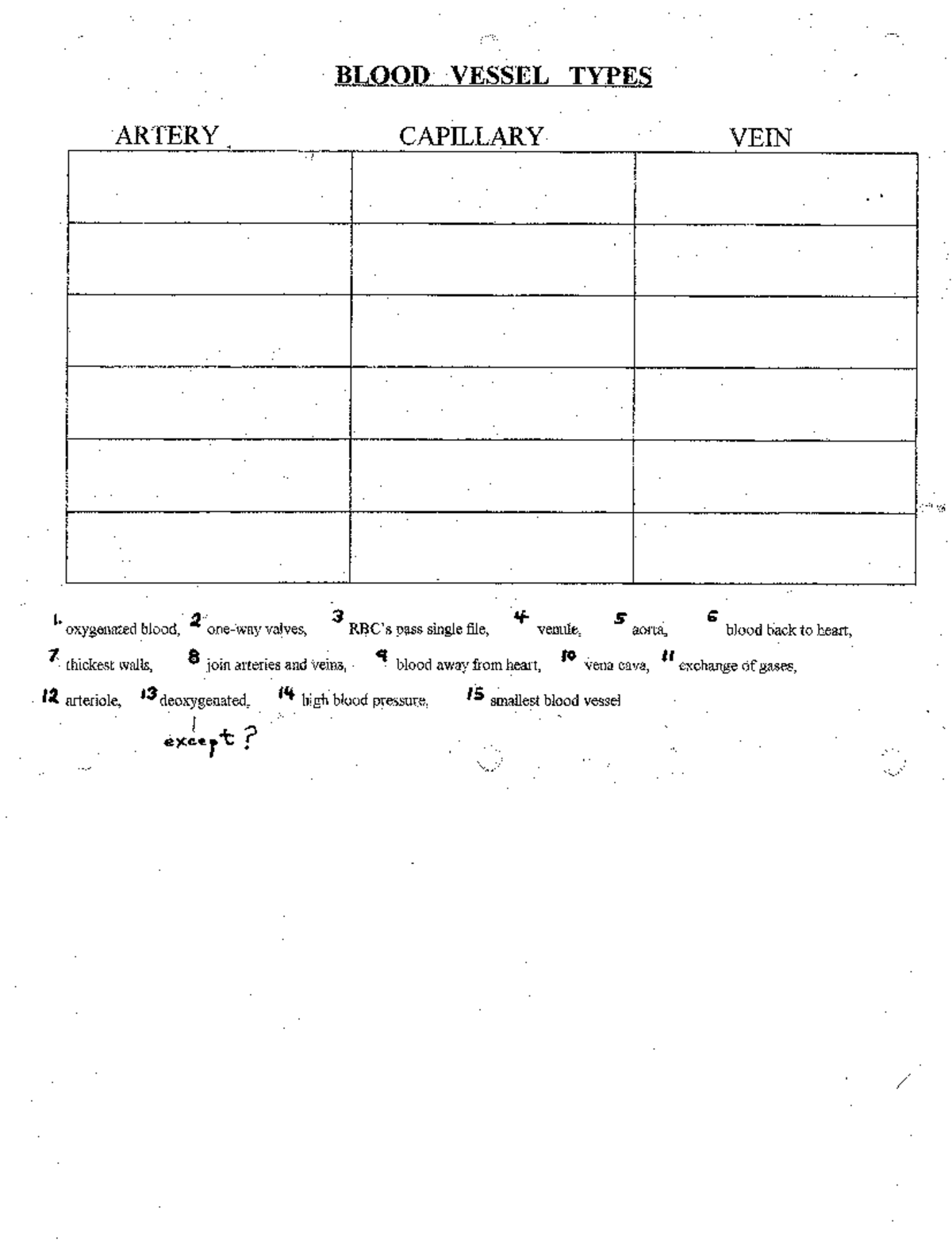 Blood Vessel Chart Vert - PNA - Studocu