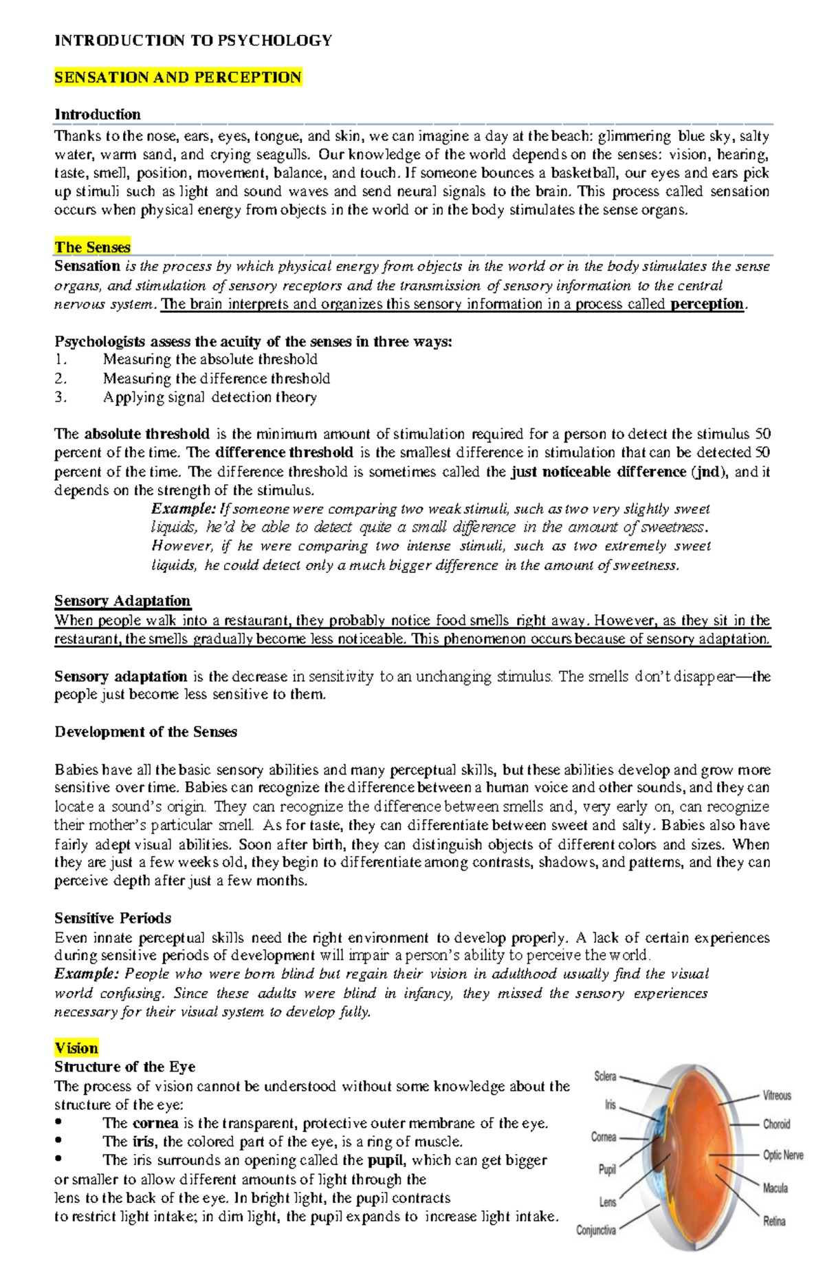 Lesson 5 Sensation and Perception Handouts - INTRODUCTION TO PSYCHOLOGY ...