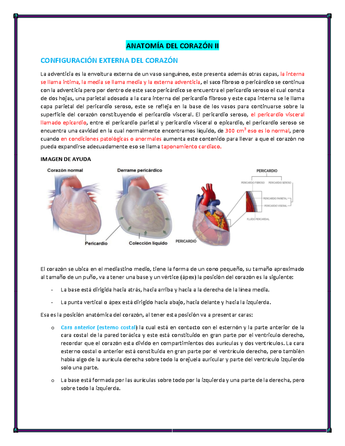 5. (B) Corazón - Parte 2 - ANATOMÕA DEL CORAZ”N II CONFIGURACI”N ...