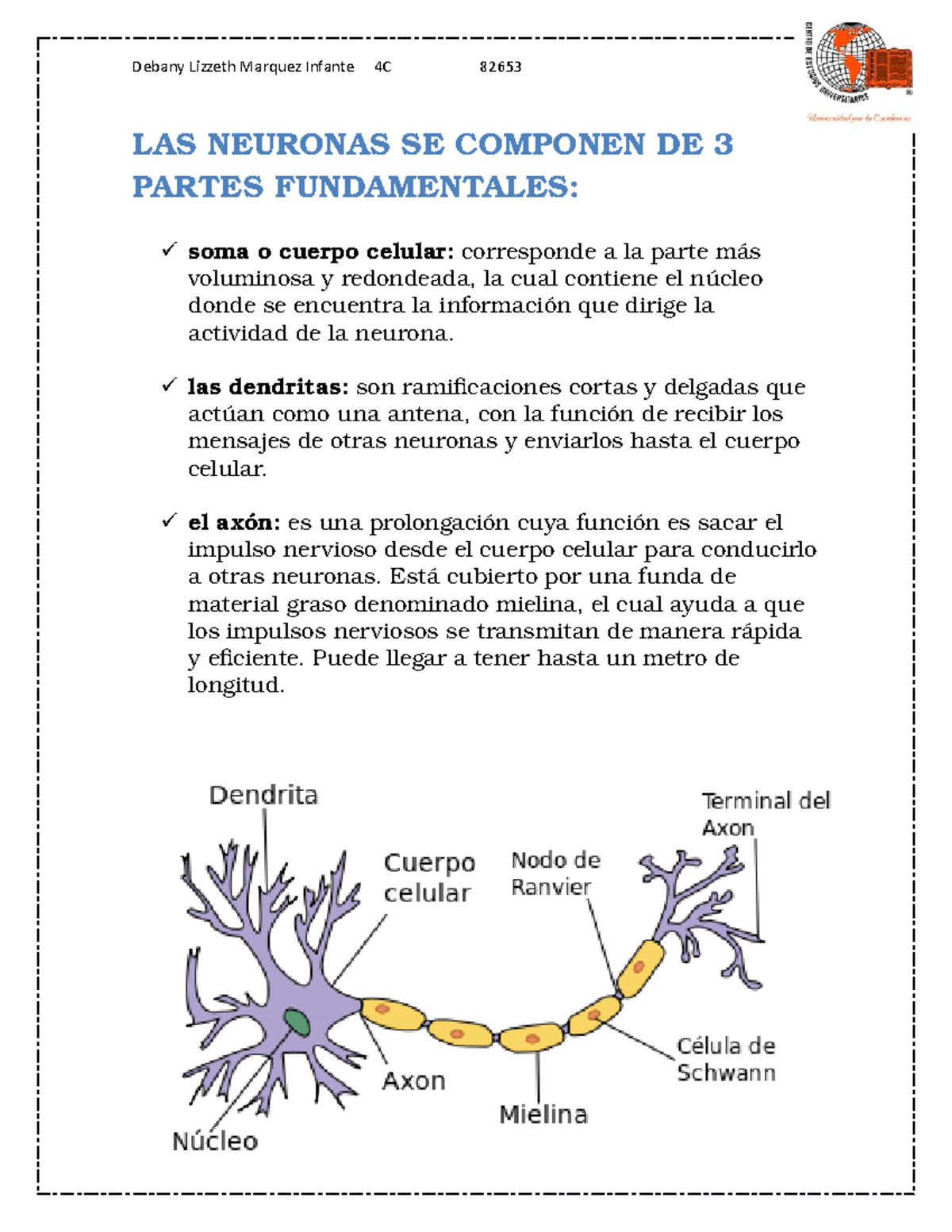 Sistema nervioso 987654321 - Debany Lizzeth Marquez Infante 4C 82653 ...