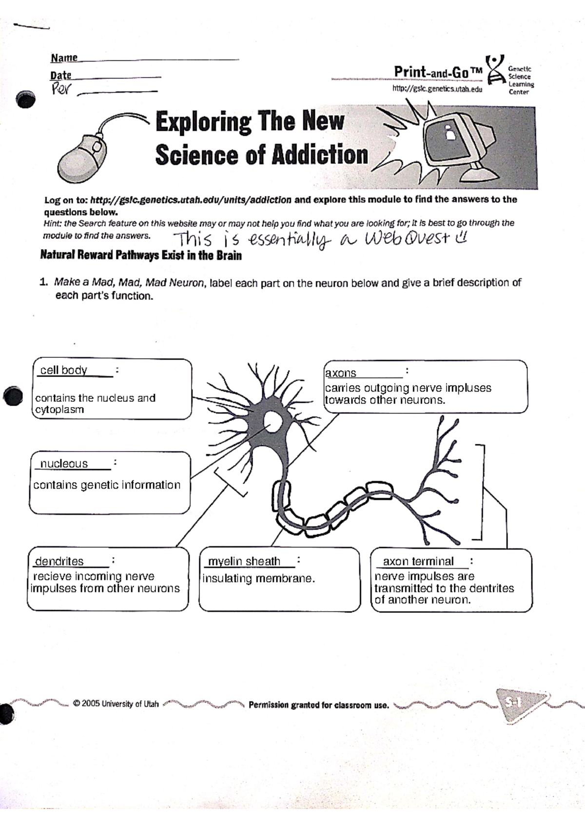 Science of addiction - bio notes - cell body nucleous dendrites myelin ...