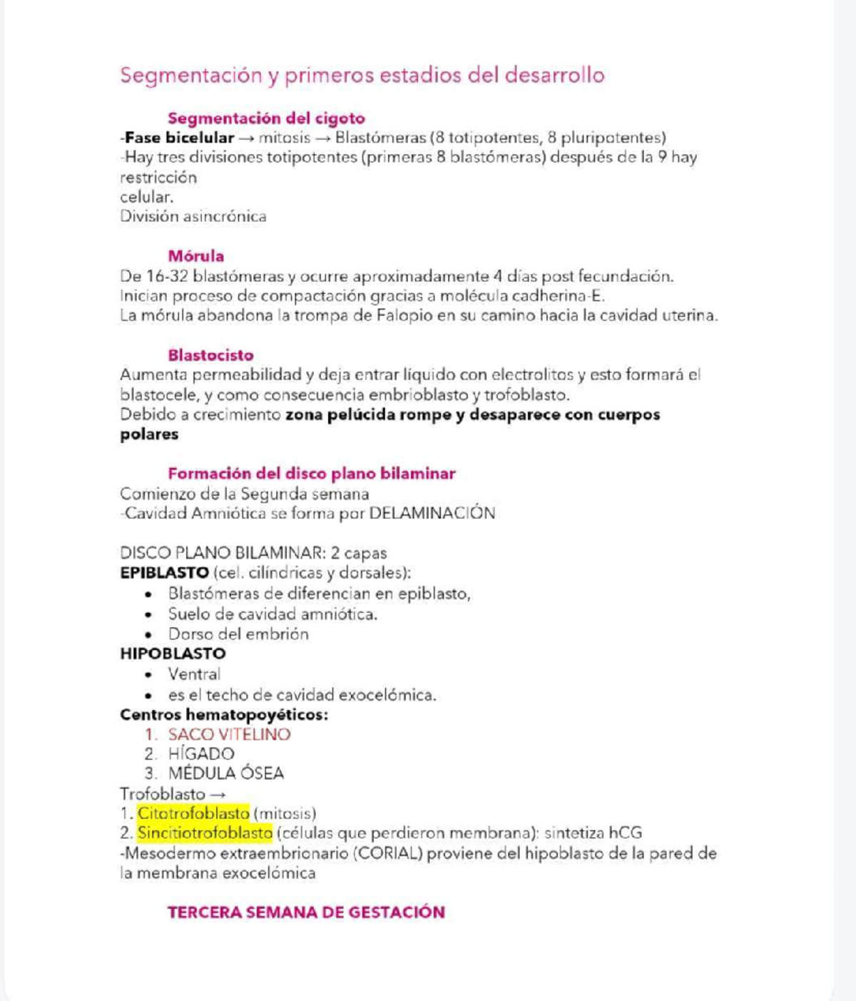 Embriología apuntes - Segmentación y primeros estadios del desarrollo ...
