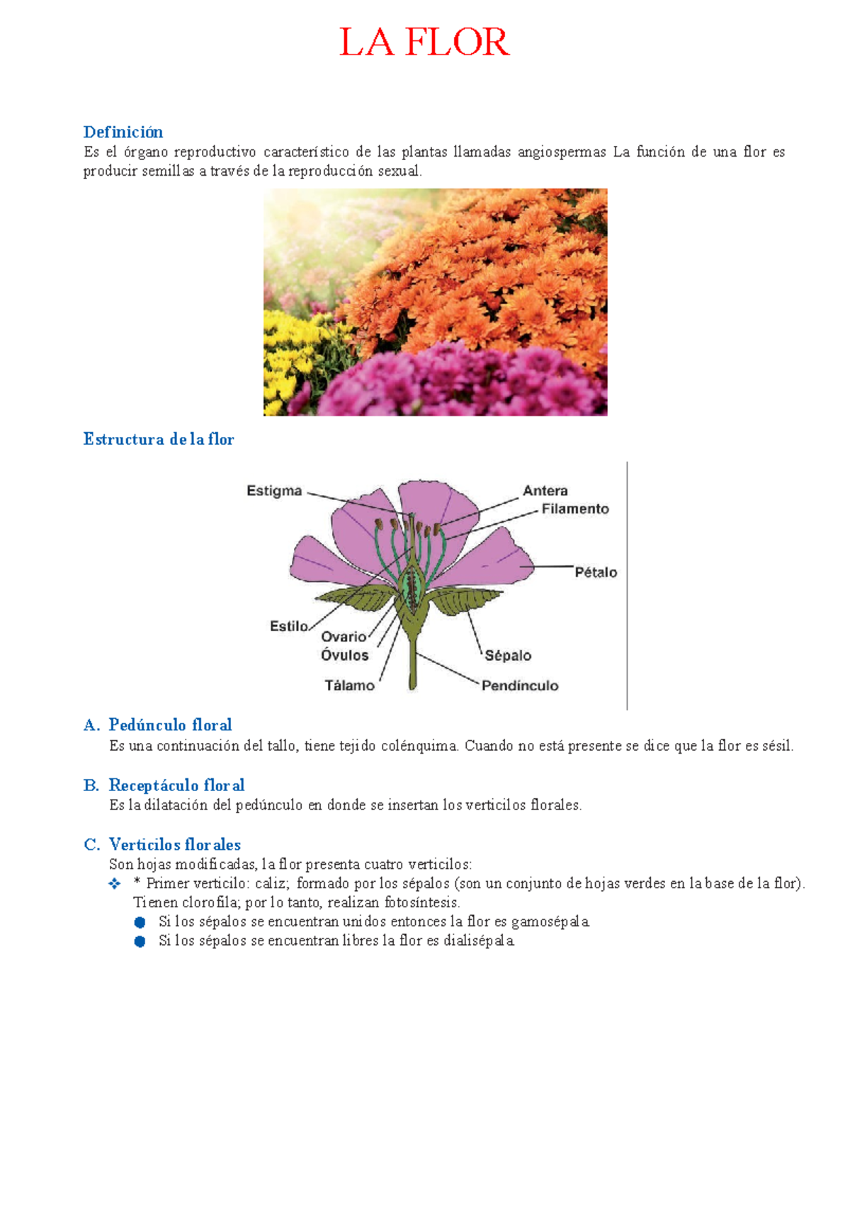 La-Flor- practica - LA FLOR Definición Es el órgano reproductivo ...