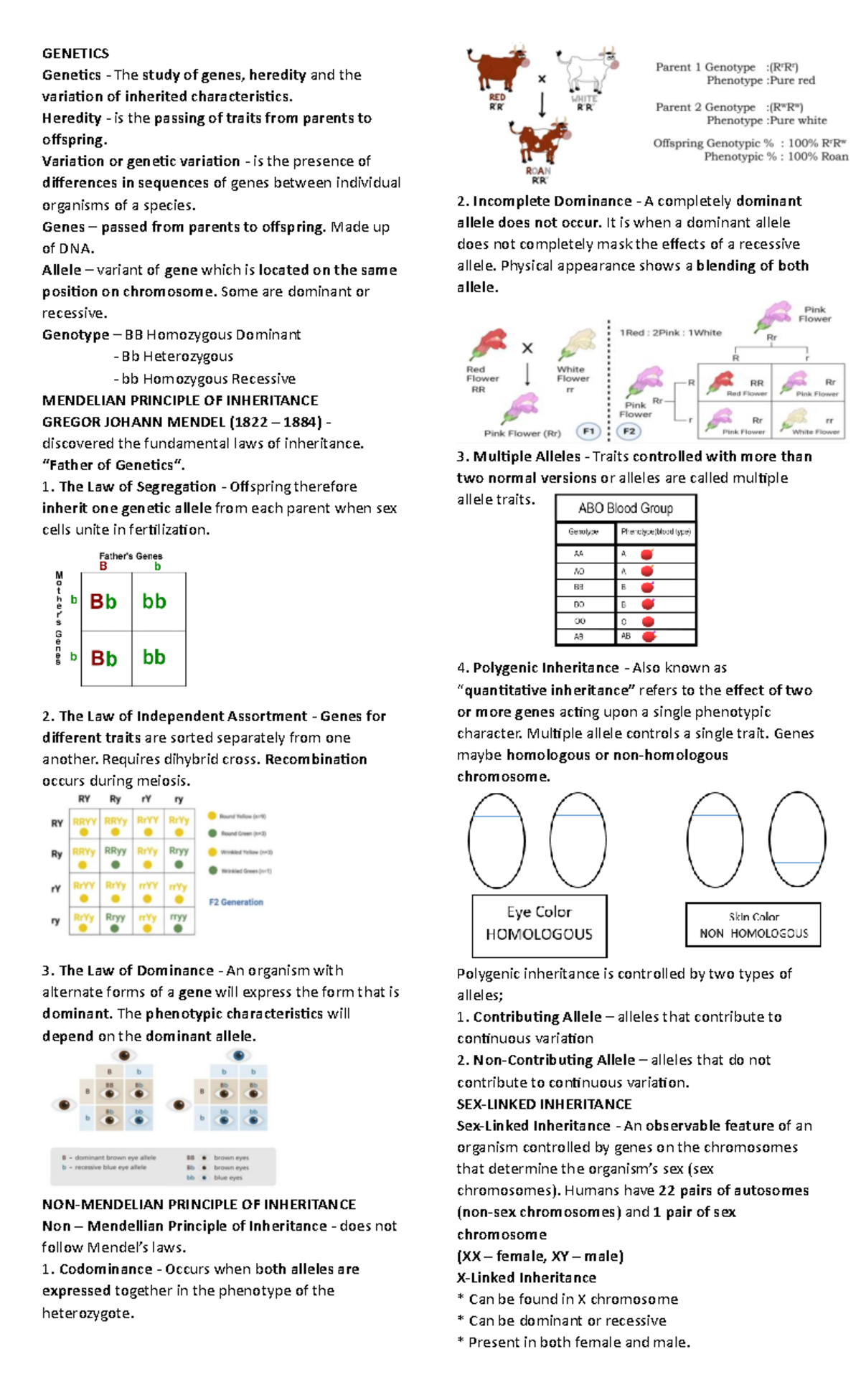 Gen Bio reviewer final - GENETICS Genetics - The study of genes, heredity and the variation of ...
