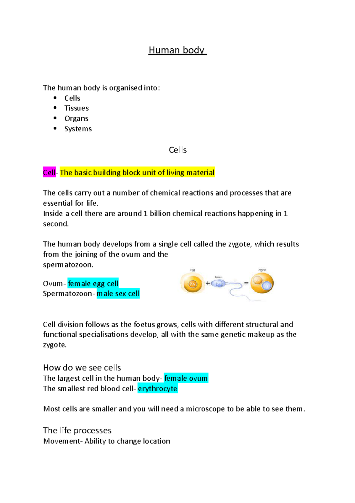 Human body - Human body The human body is organised into: Cells Tissues ...