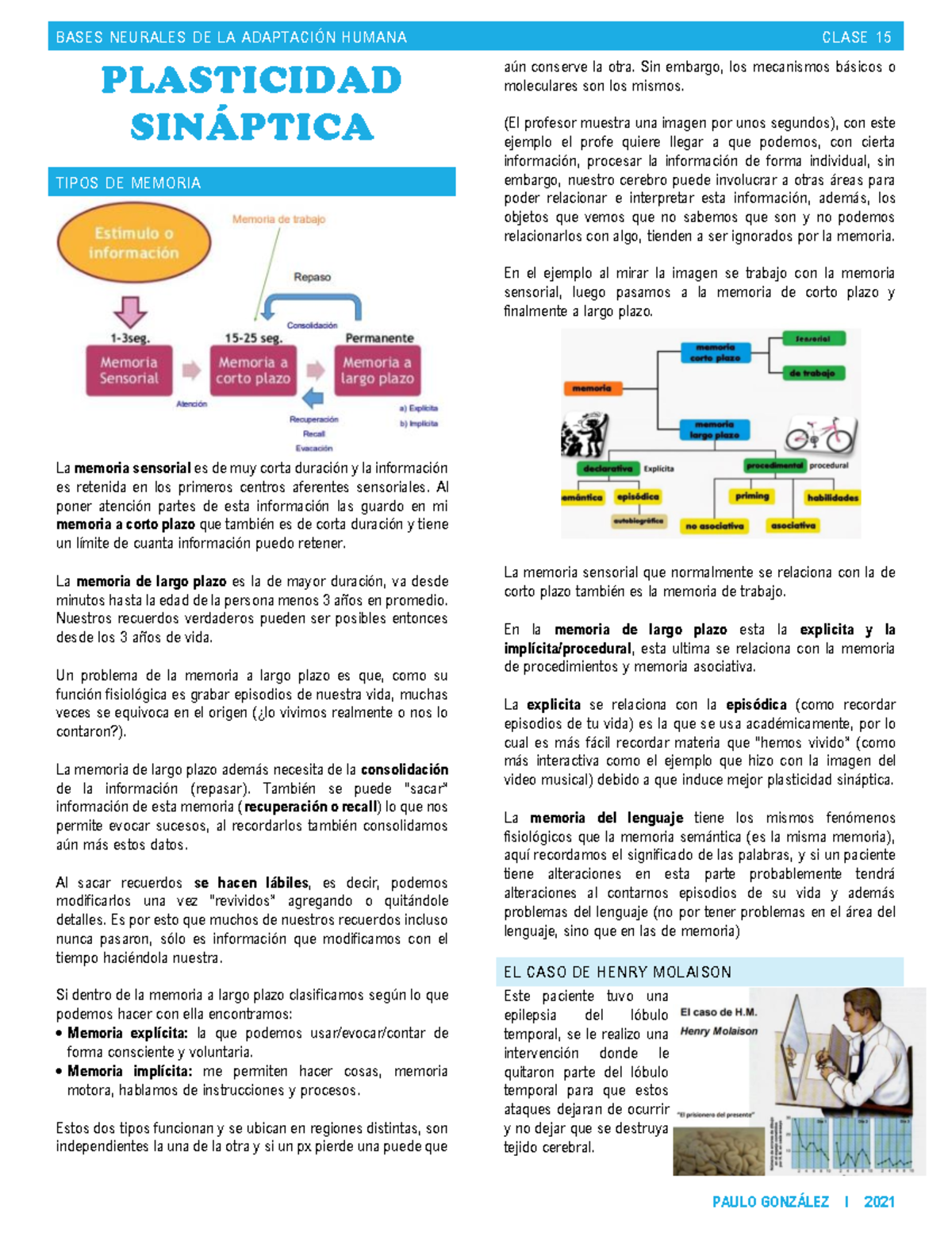 Plasticidad sináptica - PLASTICIDAD SINÁPTICA TIPOS DE MEMORIA La memoria sensorial es de muy ...