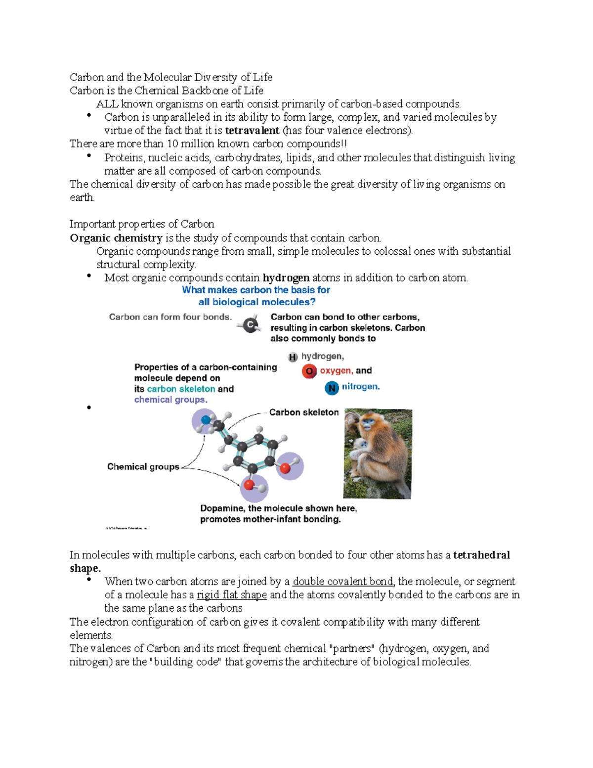 Chapter 4 Study Guide - Carbon and the Molecular Diversity of Life ...