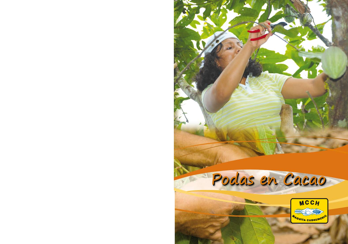 Podas en cacao - Jinilofukmño - Podas en Cacao CONTENIDO Podas en Cacao La poda del cacao ...