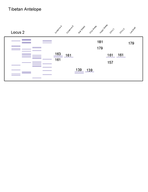 Exercise 1- What is a Gene - Answer Sheet - Genomics Education ...