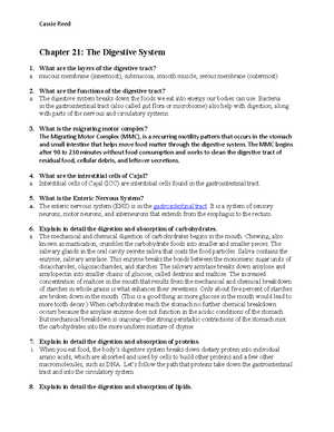 APHY 201-Chapter 17 - Assignments - Chapter 17: Mechanics of Breathing ...