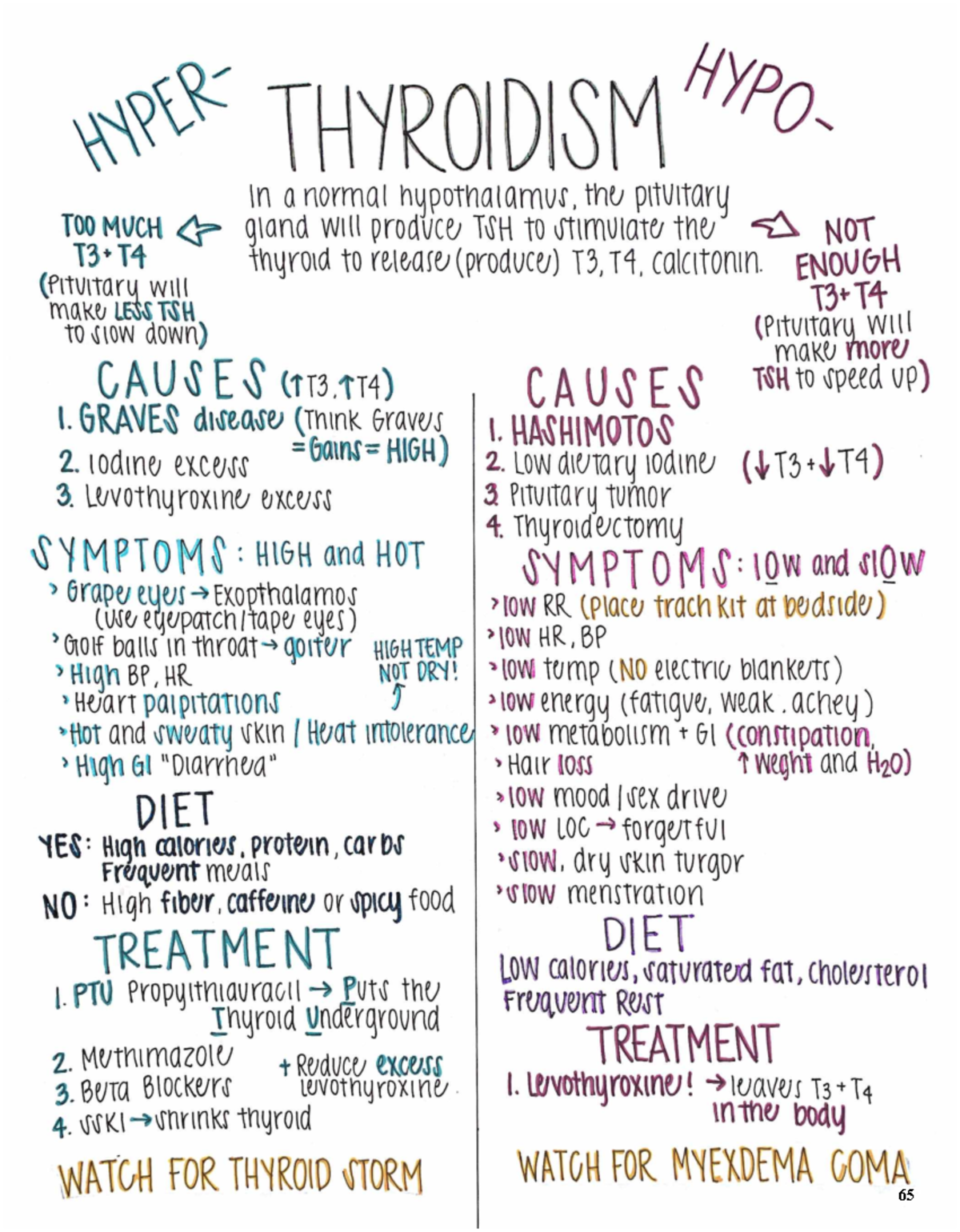 Nur Exam 2 - Notes - HYPER THYROIDISM HYPO In a normal hypothalamus ...