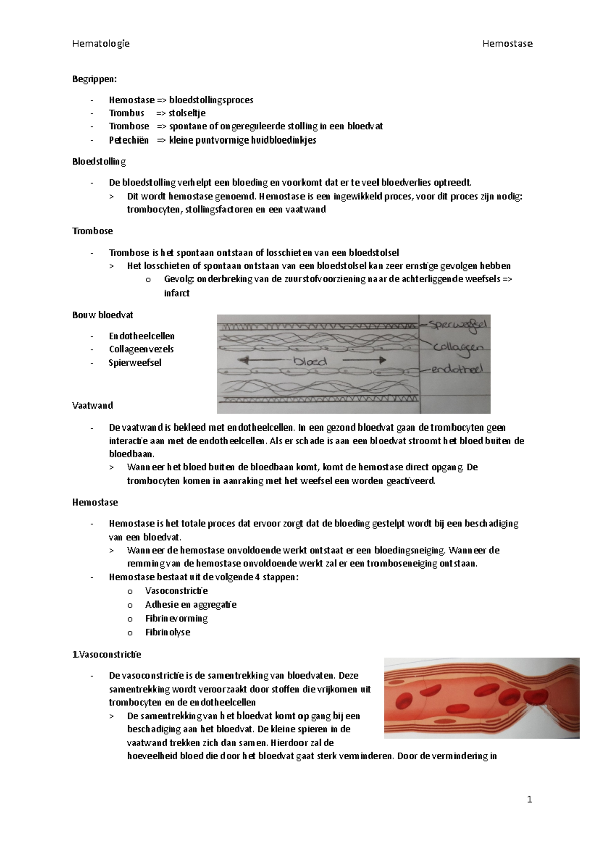 Hematologie hemostase - Begrippen: Hemostase => bloedstollingsproces ...