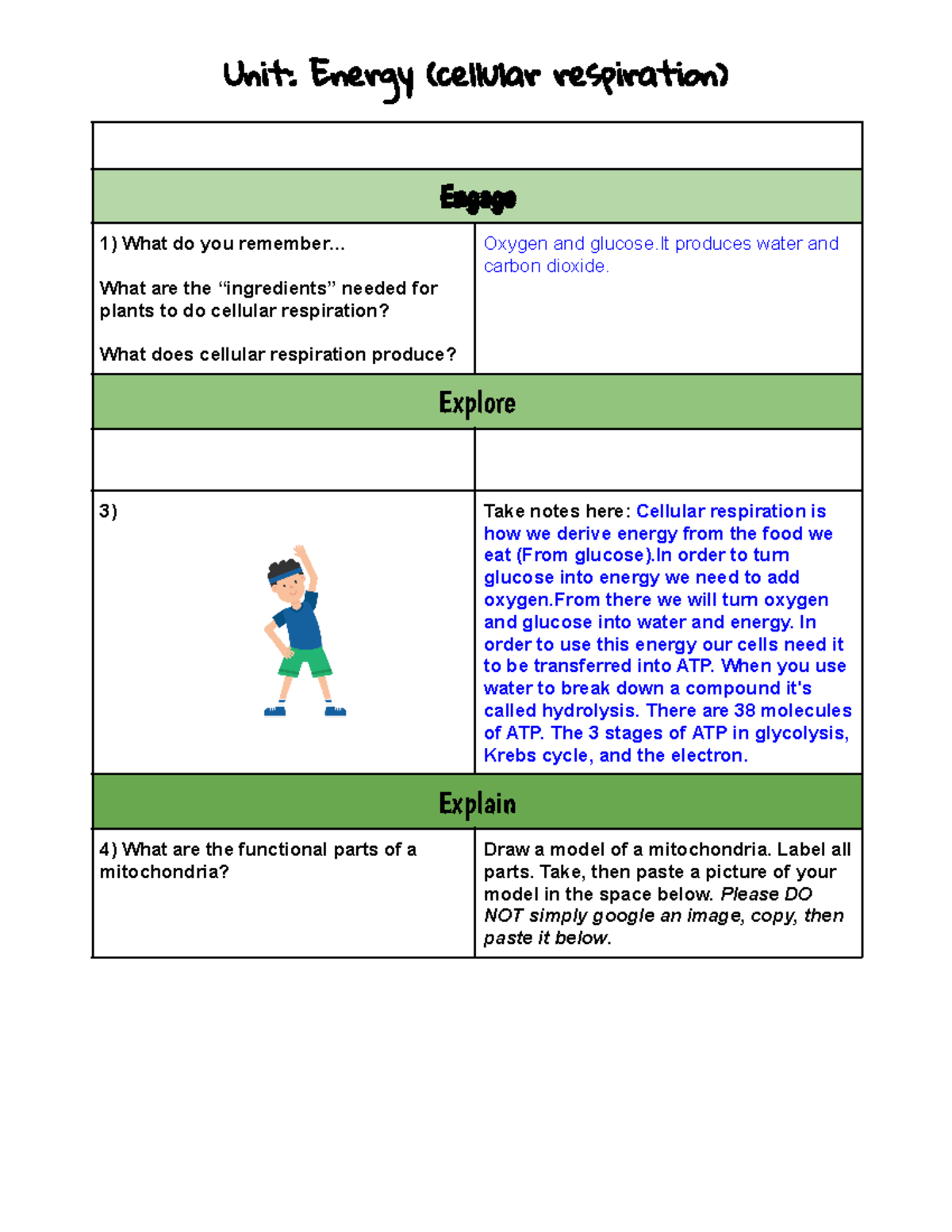 Unit Energy (cell resp) Hyperdoc - Unit: Energy (cellular respiration ...