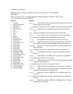 Ch. 14 The Brain and Cranial Nerves - The Brain and Cranial Nerves ...
