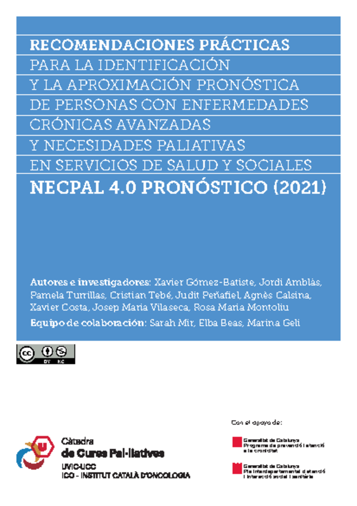 Instrument- Necpal-4 - clasificación - RECOMENDACIONES PRÁCTICAS PARA ...