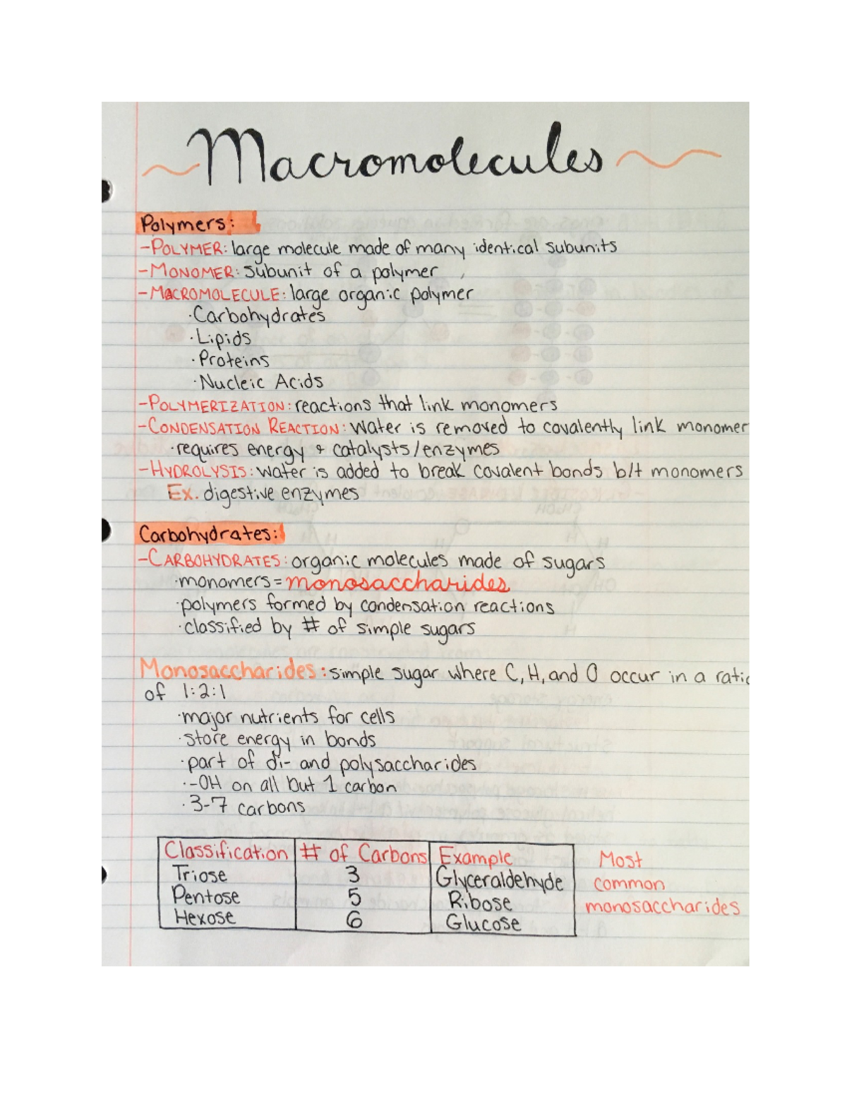 AP Biology- Genetics - BIO 150 - Studocu