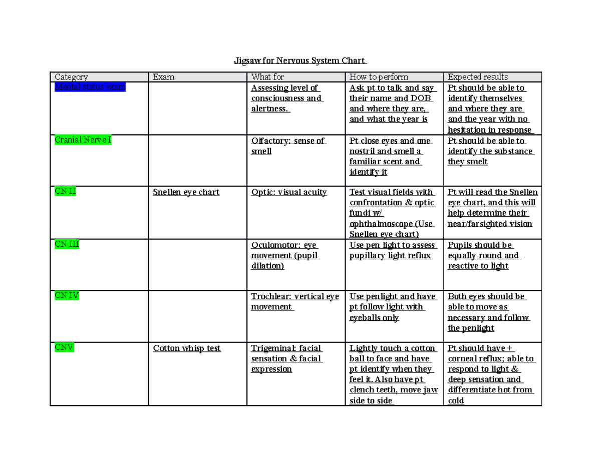 Jigsaw for Nervous System Chart-Scie 144 - Jigsaw for Nervous System ...