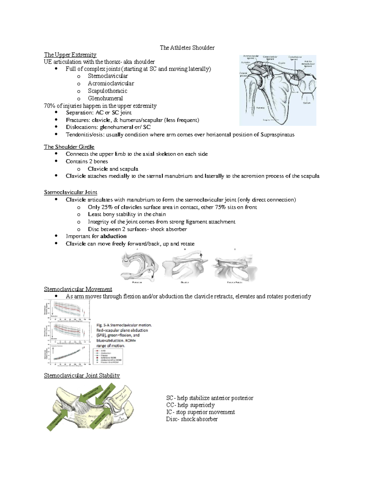 Lec 11 The Athletes Shoulder - The Athletes Shoulder The Upper ...