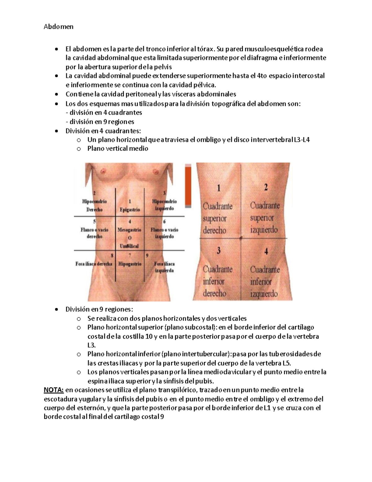 Repaso completo del Abdomen - Anatomia humana - UABJO - Studocu