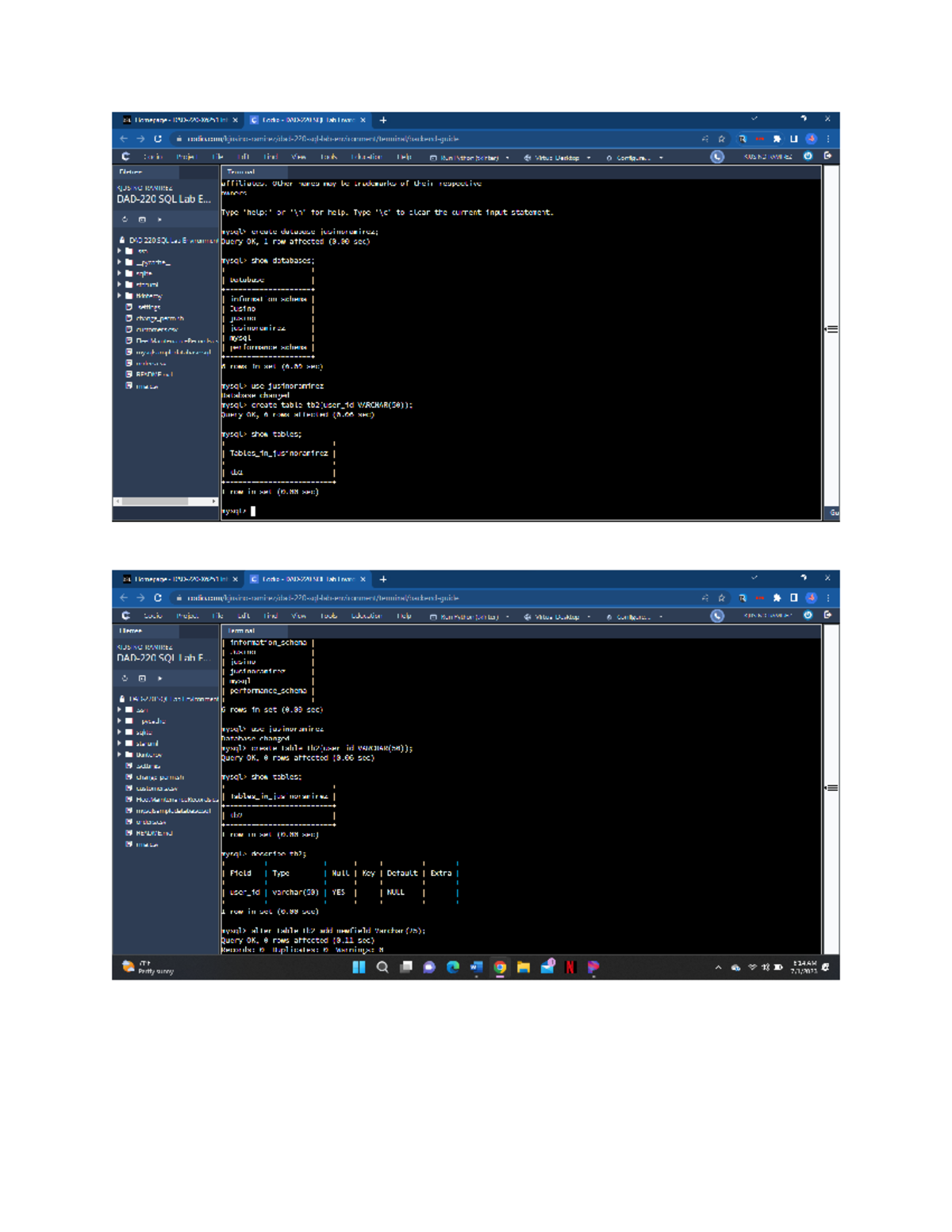 1-4 lab - 1-4 lab - DAD-220 - SNHU - Studocu