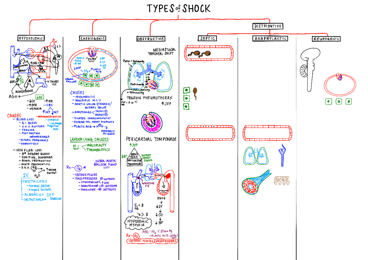 Types of Shock Hypovolemic, Cardiogenic atf - TYPE. of SHOCK ...