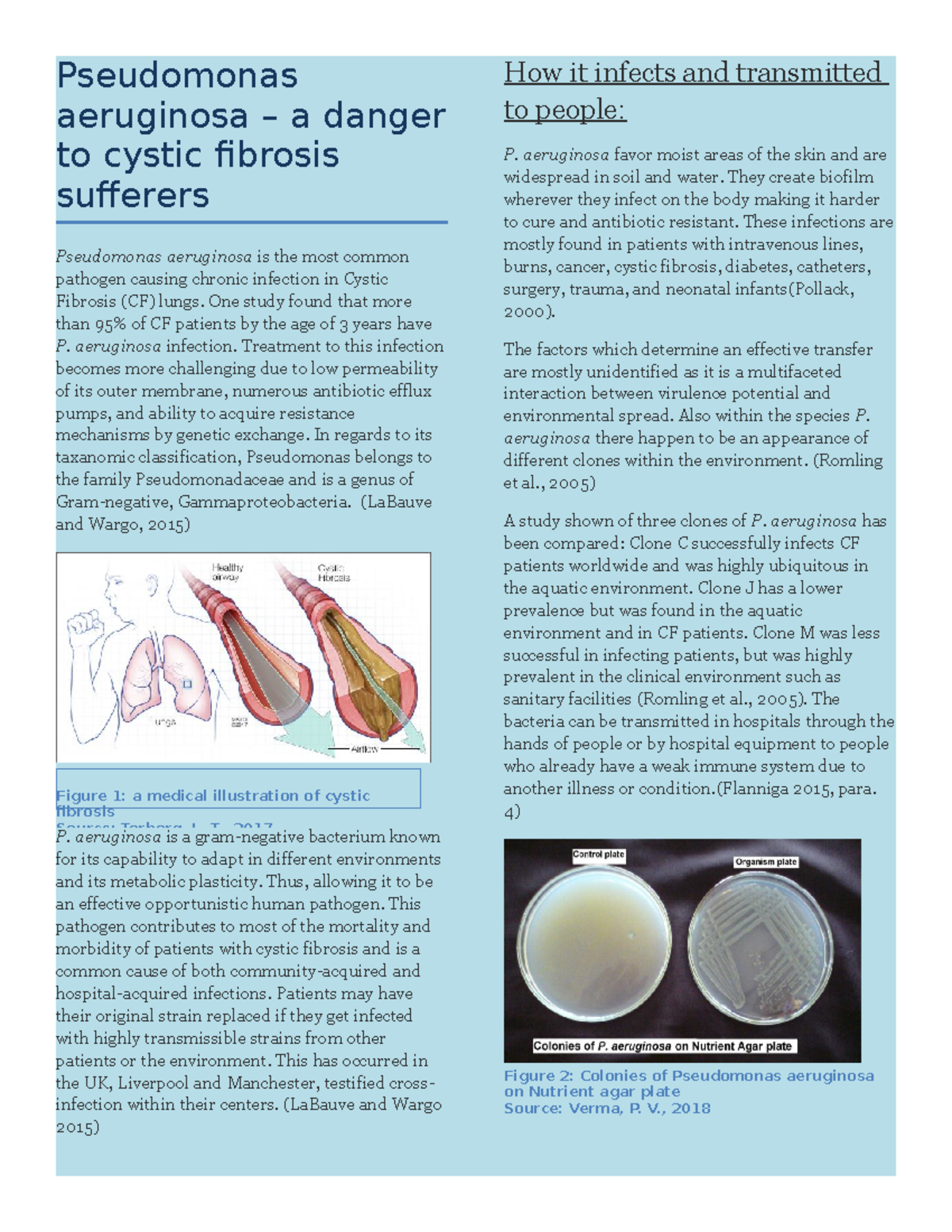 Magazine - Figure 2: Colonies of Pseudomonas aeruginosa on Nutrient ...