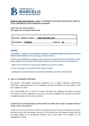 Cuadernillo Nuevo APS II - PROGRAMA ATENCION PRIMARIA DE LA SALUD 2 ...