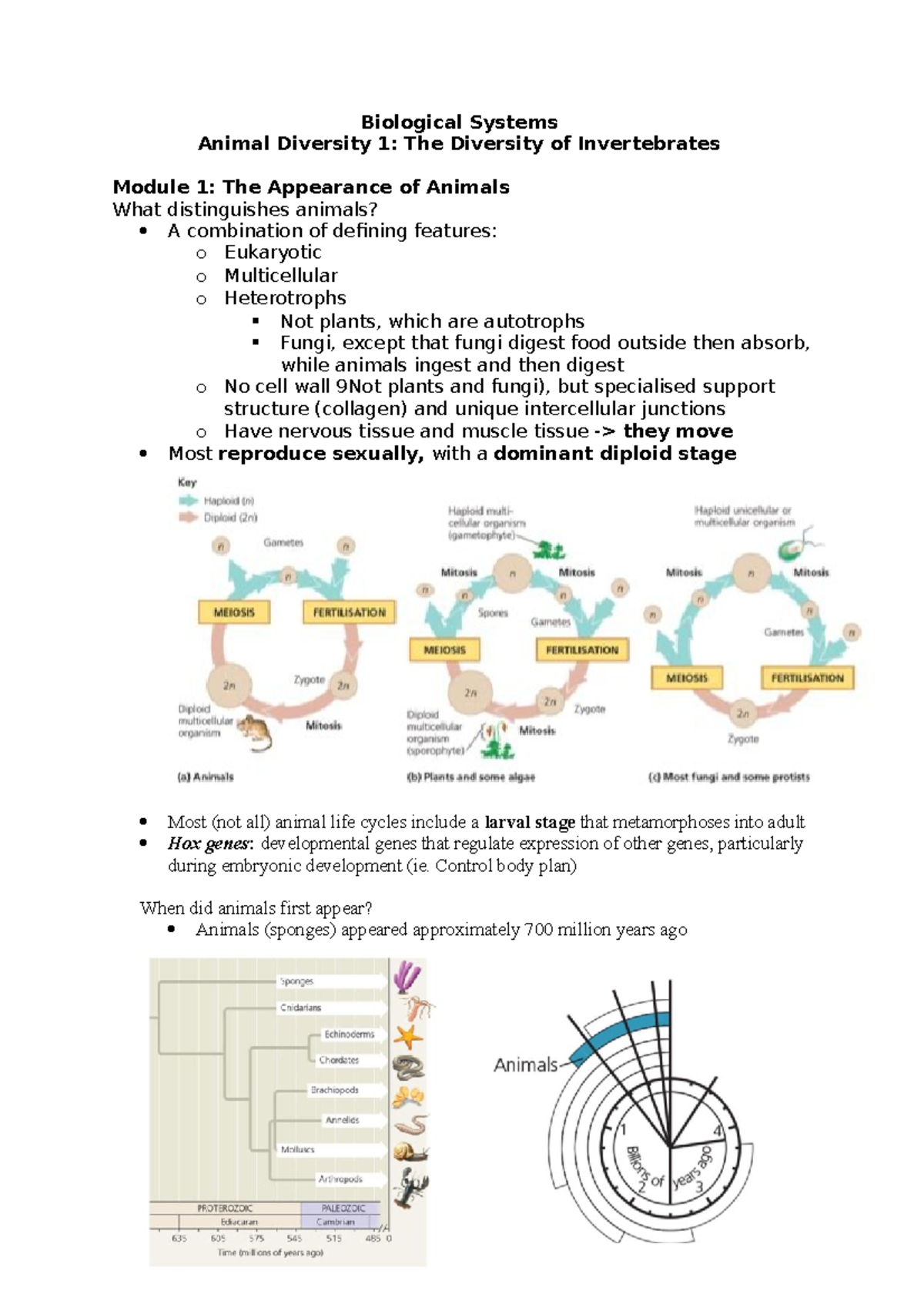 Animal Diversity 1- The Diversity of Invertebrates - Biological Systems ...