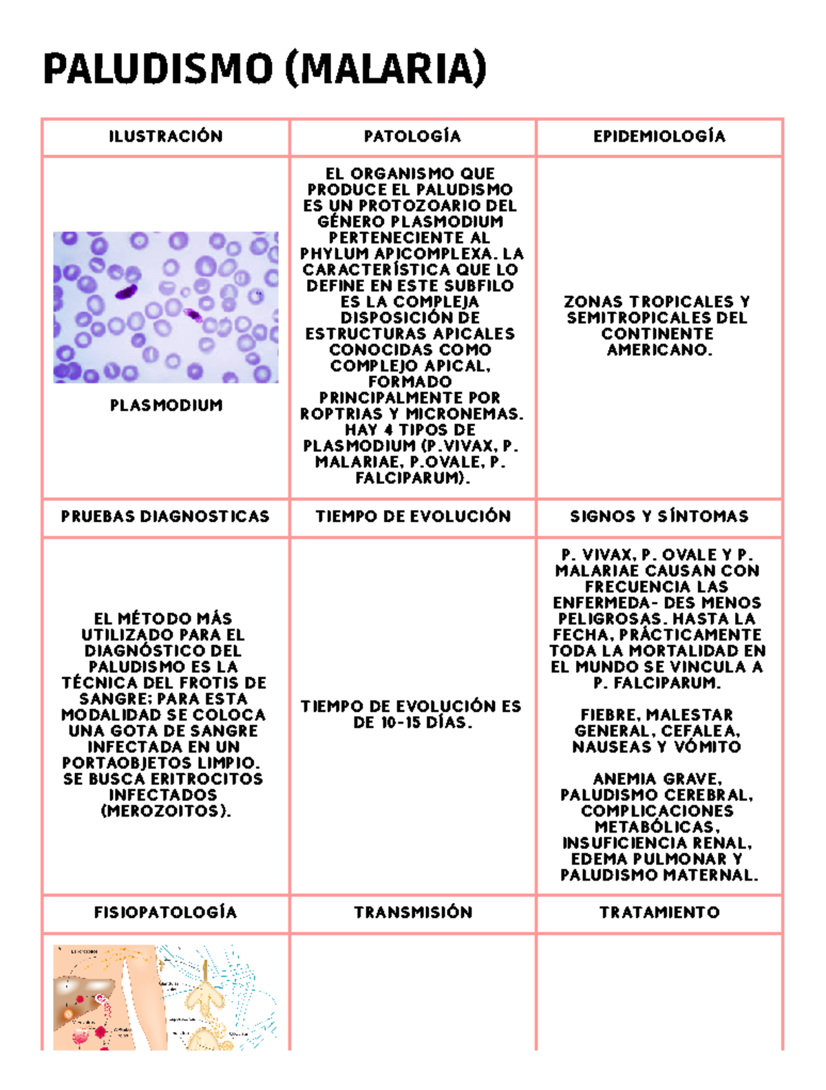Paludismo ( Malaria) - tabla resumida con características del parasito ...