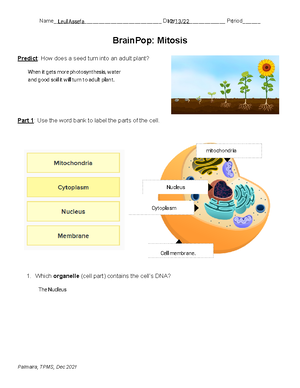 Identifying Bacteria Activity - Identifying Bacteria Activity ...