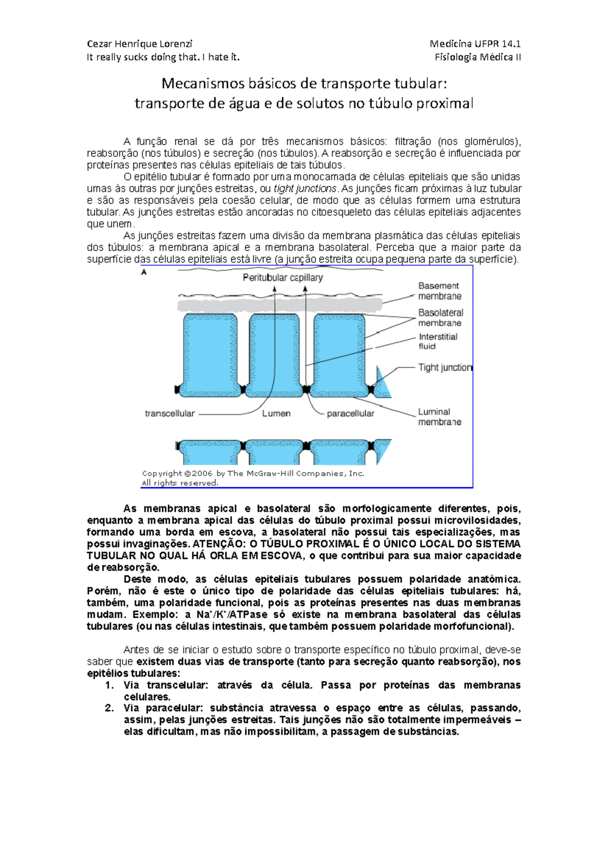 3. Mecanismos básicos de transporte tubular - It really sucks doing ...