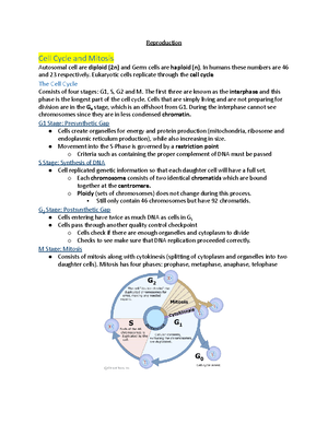Bio Lab Exam II Review Notes - Experiments:1- Enzymes- 2- Cellular ...