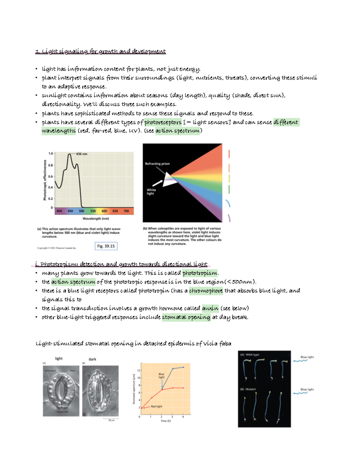 Signals and Development - Light signaling for growth and development ...